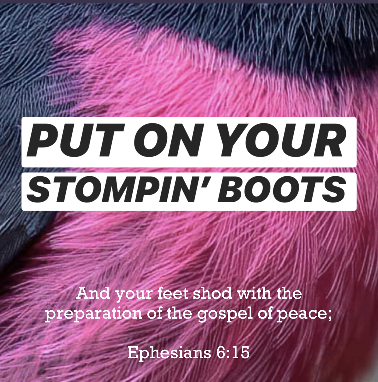 PUT ON YOUR STOMPIN’ BOOTS – Complete in Him