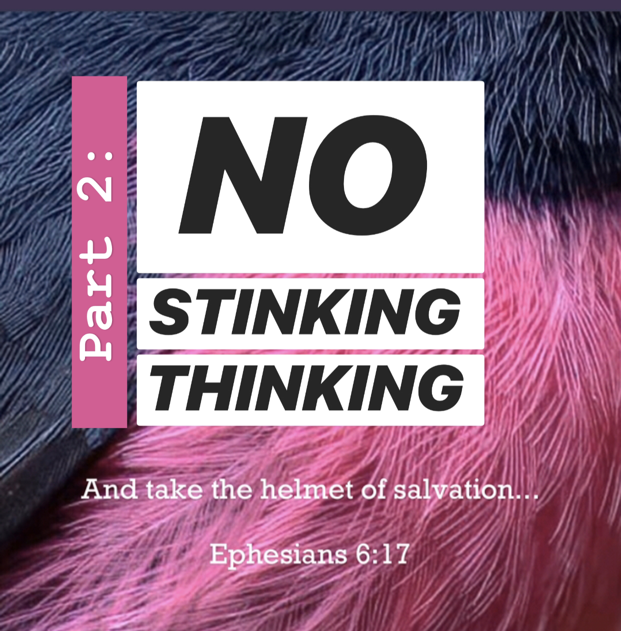 NO STINKING THINKING! (pt. 2) – Complete in Him