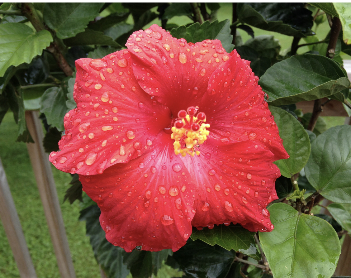 BLESSED – Complete in Him