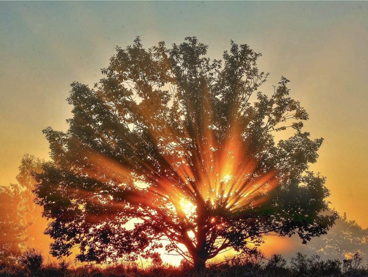 HOPE DELIVERS – Complete in Him