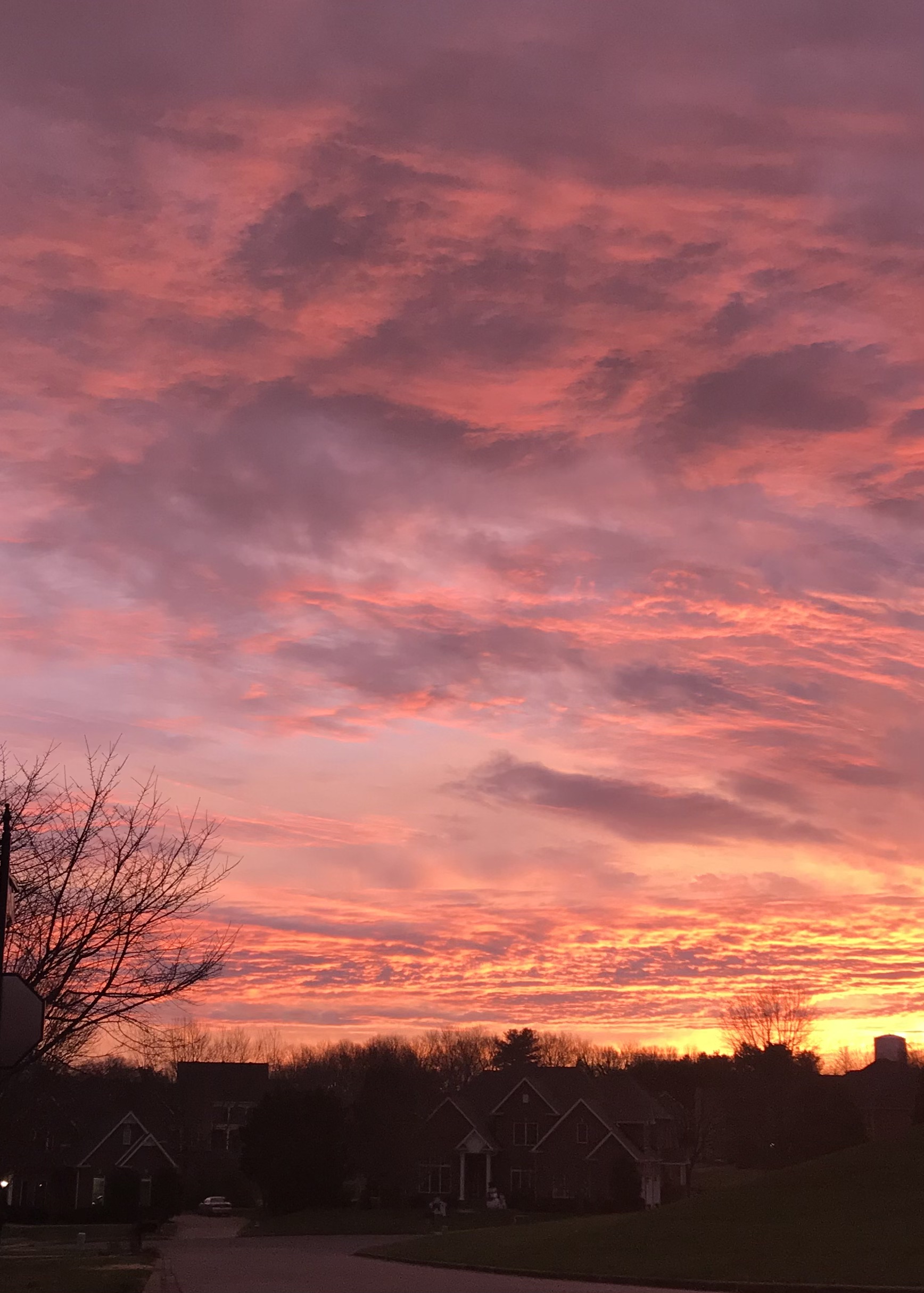 YOU ARE CHOSEN, CALLED OUT, AND PICKED OUT TO SHOW OUT – Complete in Him