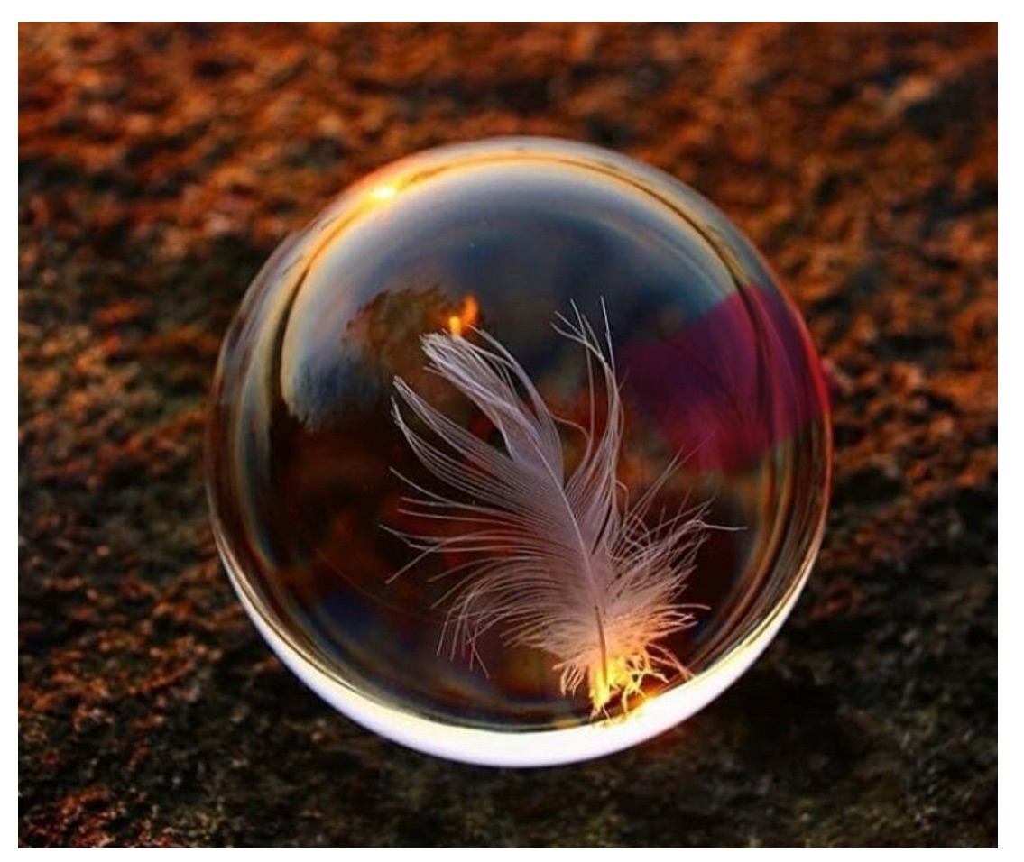 LIFE IN THE PROTECTIVE BUBBLE – Complete in Him