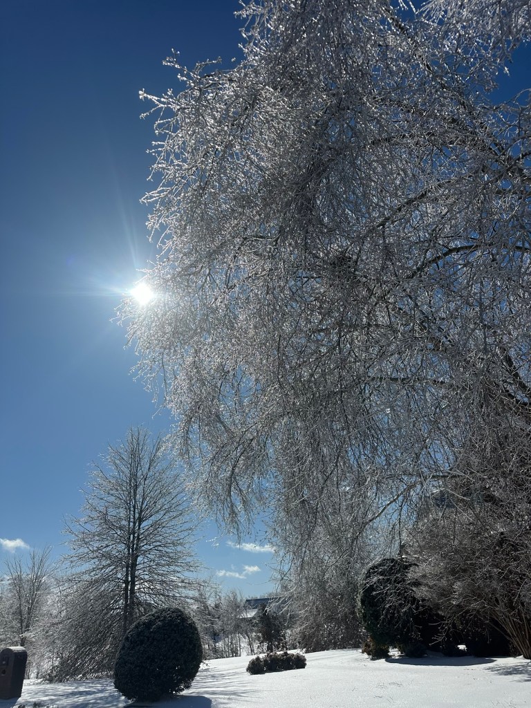 Be Thankful. Pray Without Ceasing: Couldn’t pray an hour? How about a ...